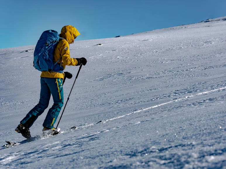 Dr. Juni Chawala | High-Altitude & Emergency Medicine | Book via WhatsApp